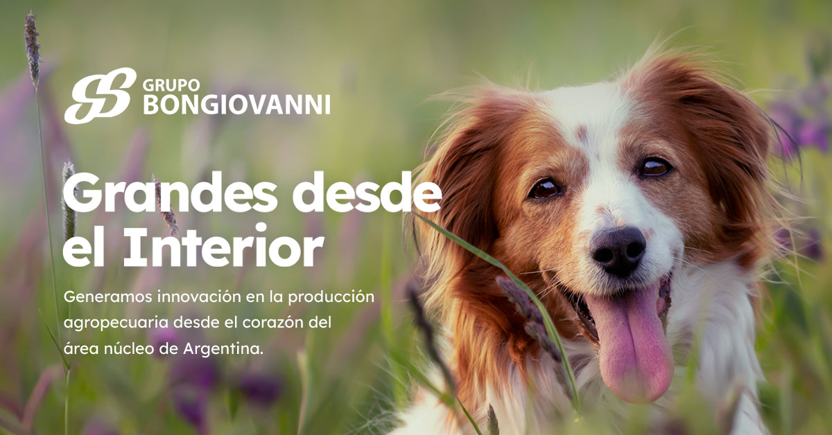 Grupo Bongiovanni | Divisiones Home